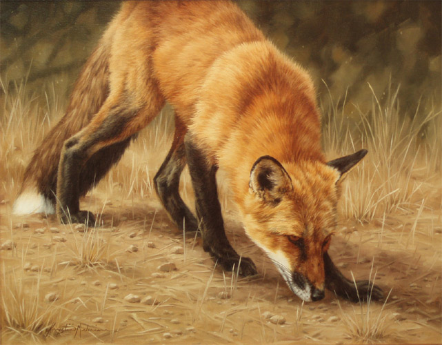 View topic - Fox RP (Join PLease) - Chicken Smoothie