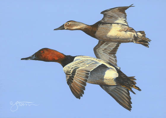 Decoys and Wildlife Gallery Web site - Frenchtown, NJ 08825